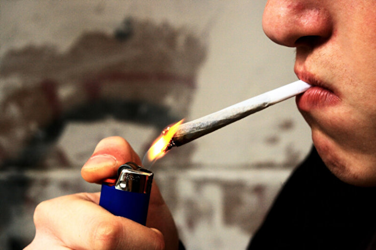 Die Kraft der Cannabispflanze – zwischen Rauschdroge und ...